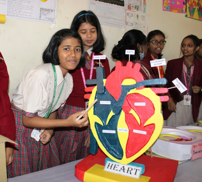 Welcome To DAV PUBLIC SCHOOL, BALASORE